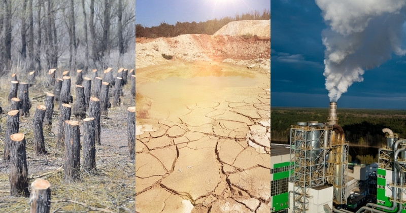 Cuál Es El Impacto Ambiental De Una Empresa Y Cómo Se Puede Reducir